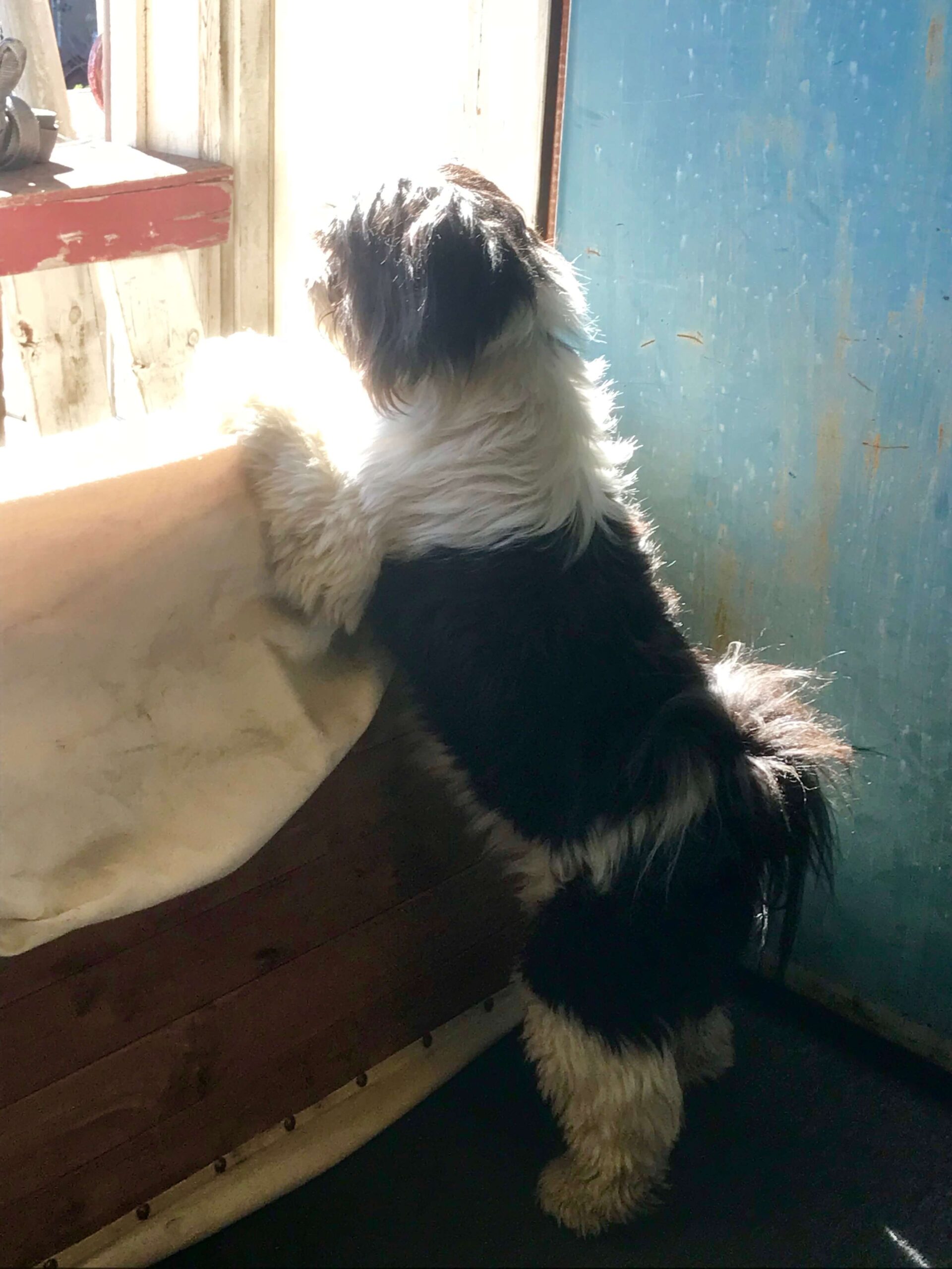 Our Team - Earthwise