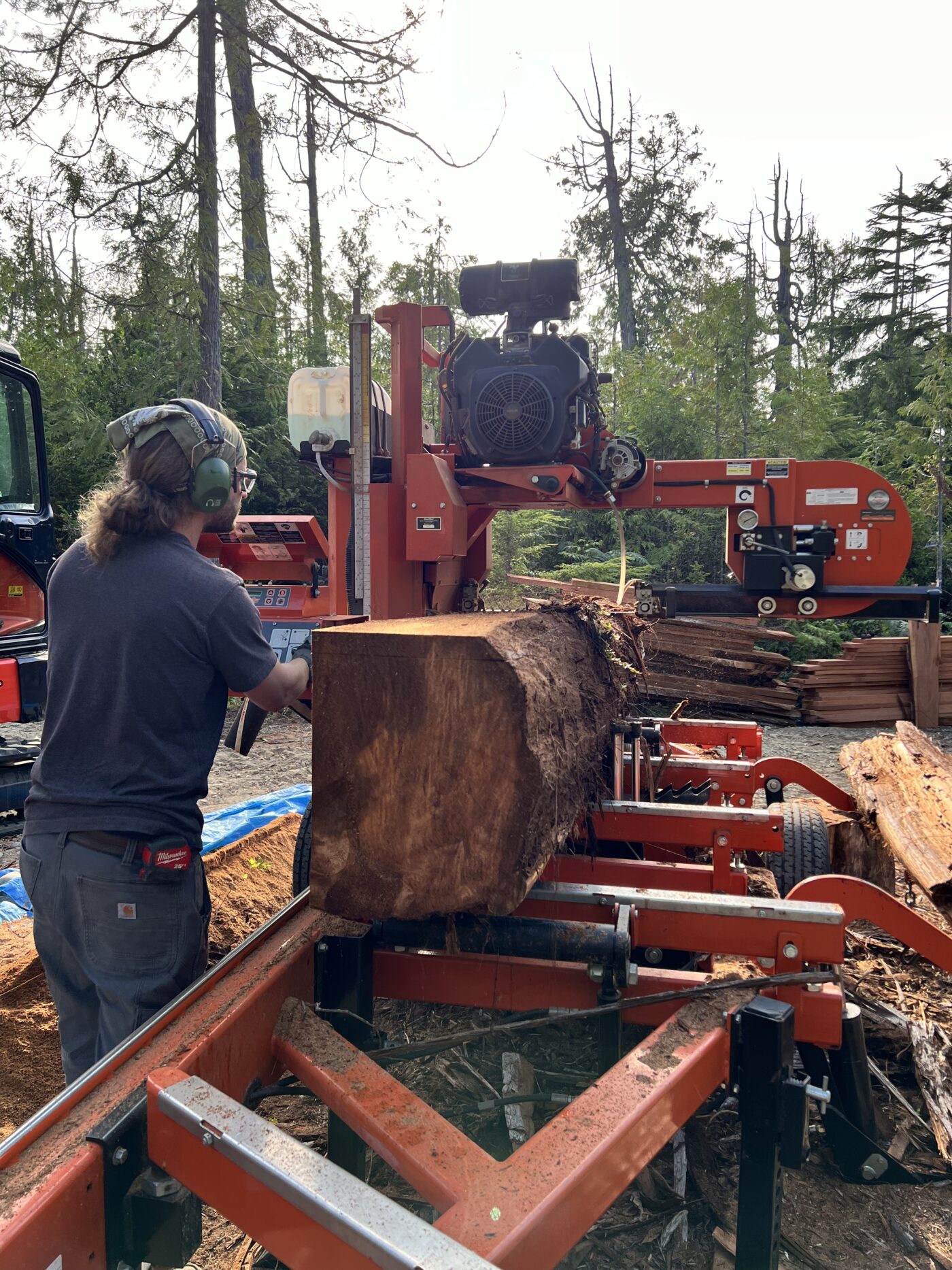 New to Earthwise: Truly Ancient Coastal Cedar Lumber - Earthwise