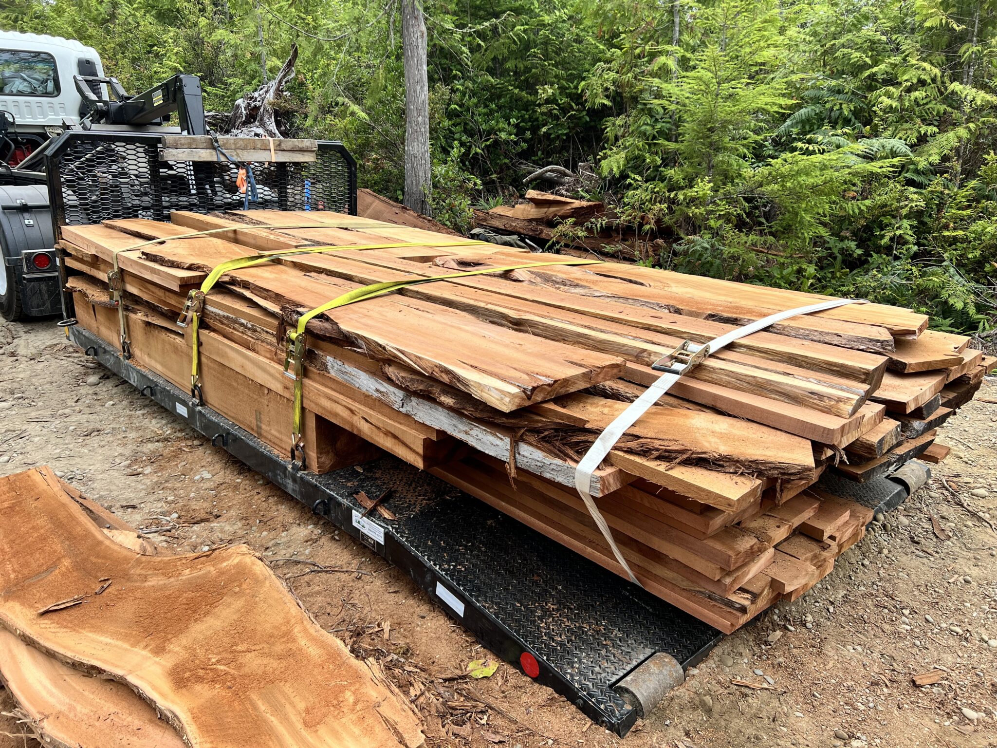 New to Earthwise: Truly Ancient Coastal Cedar Lumber - Earthwise